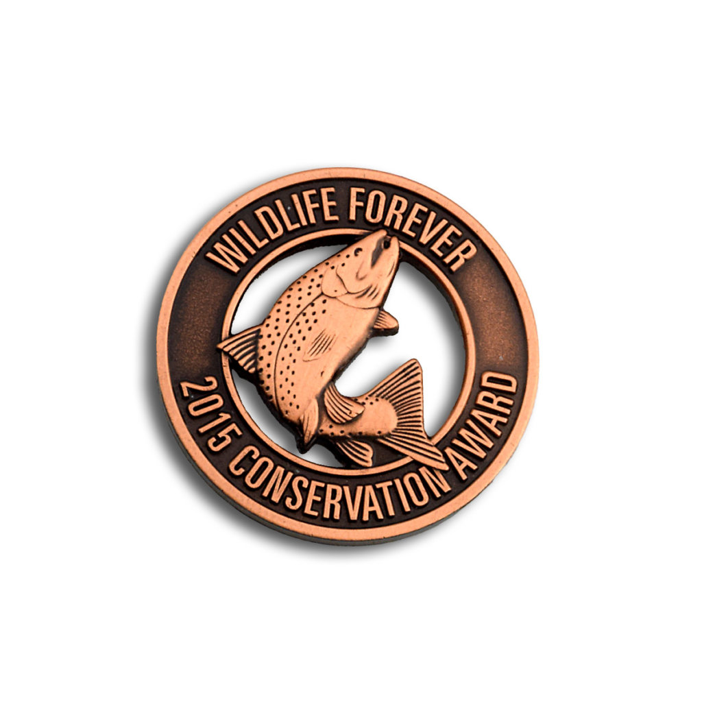 Metal Pins - Die Struck Custom Pin Maker | PinCrafters